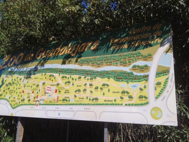 Visita al Zoo de Guadalajara - La Guinda de Limón